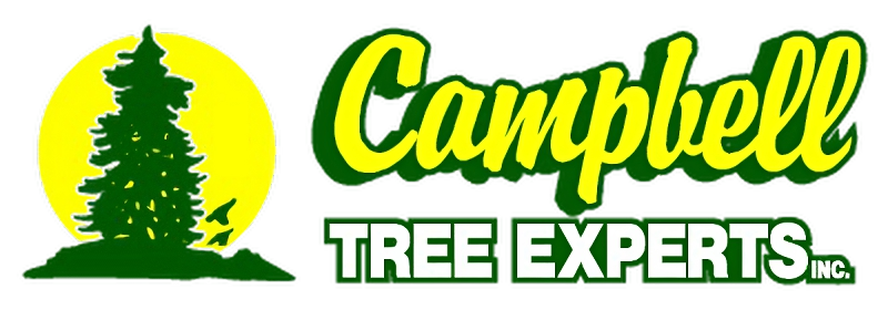 Campbell Tree Experts Inc