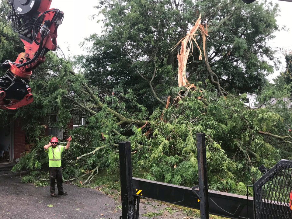 24/7 Emergency Service | Campbell Tree Experts Inc